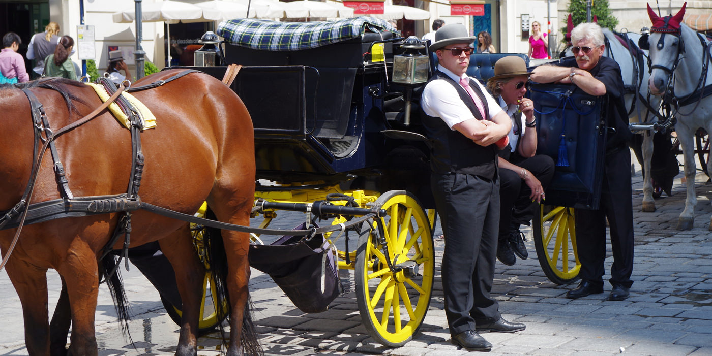 Fiaker in Wien, ein besonderes Erlebnis - wien-erleben.com